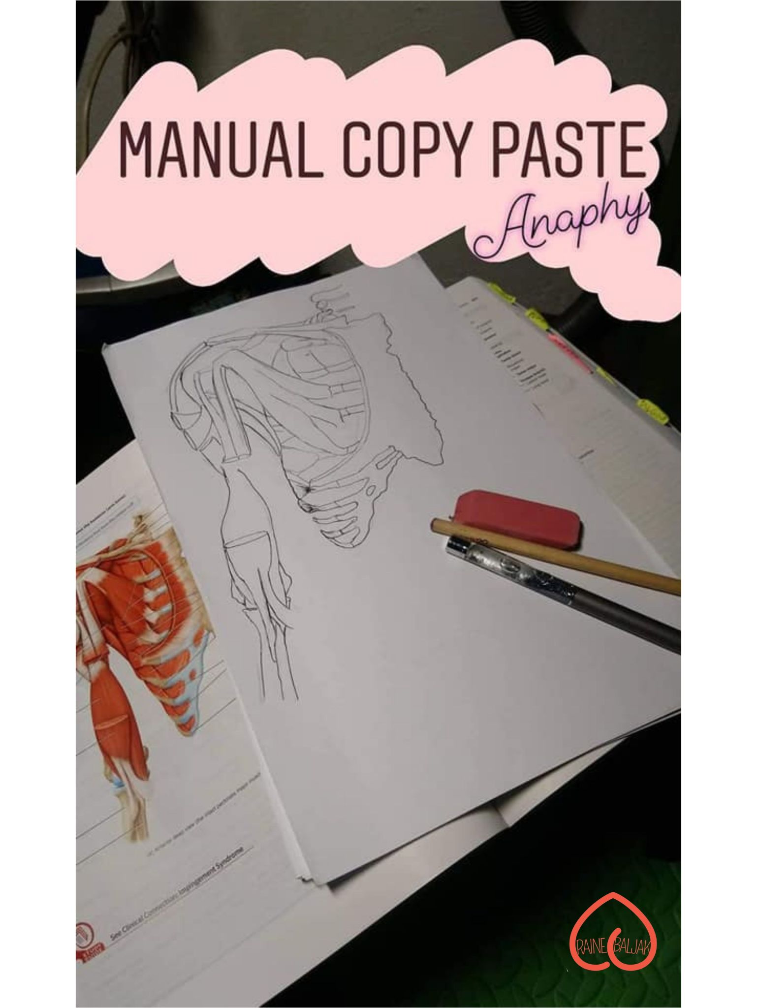 My illustrations of Human Anatomy – Artist & Academic
